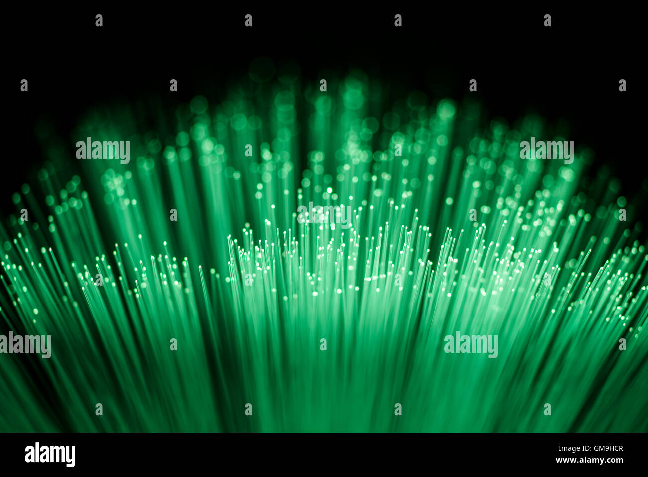 Bunch of glowing green fiber optic cables on black background Stock ...