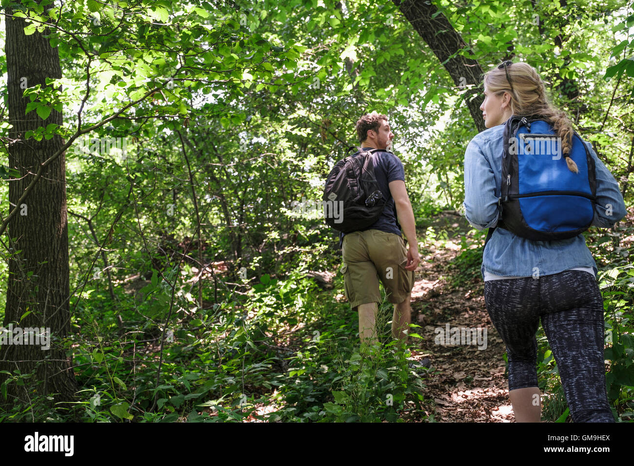 Walking in urban forest hi-res stock photography and images - Alamy