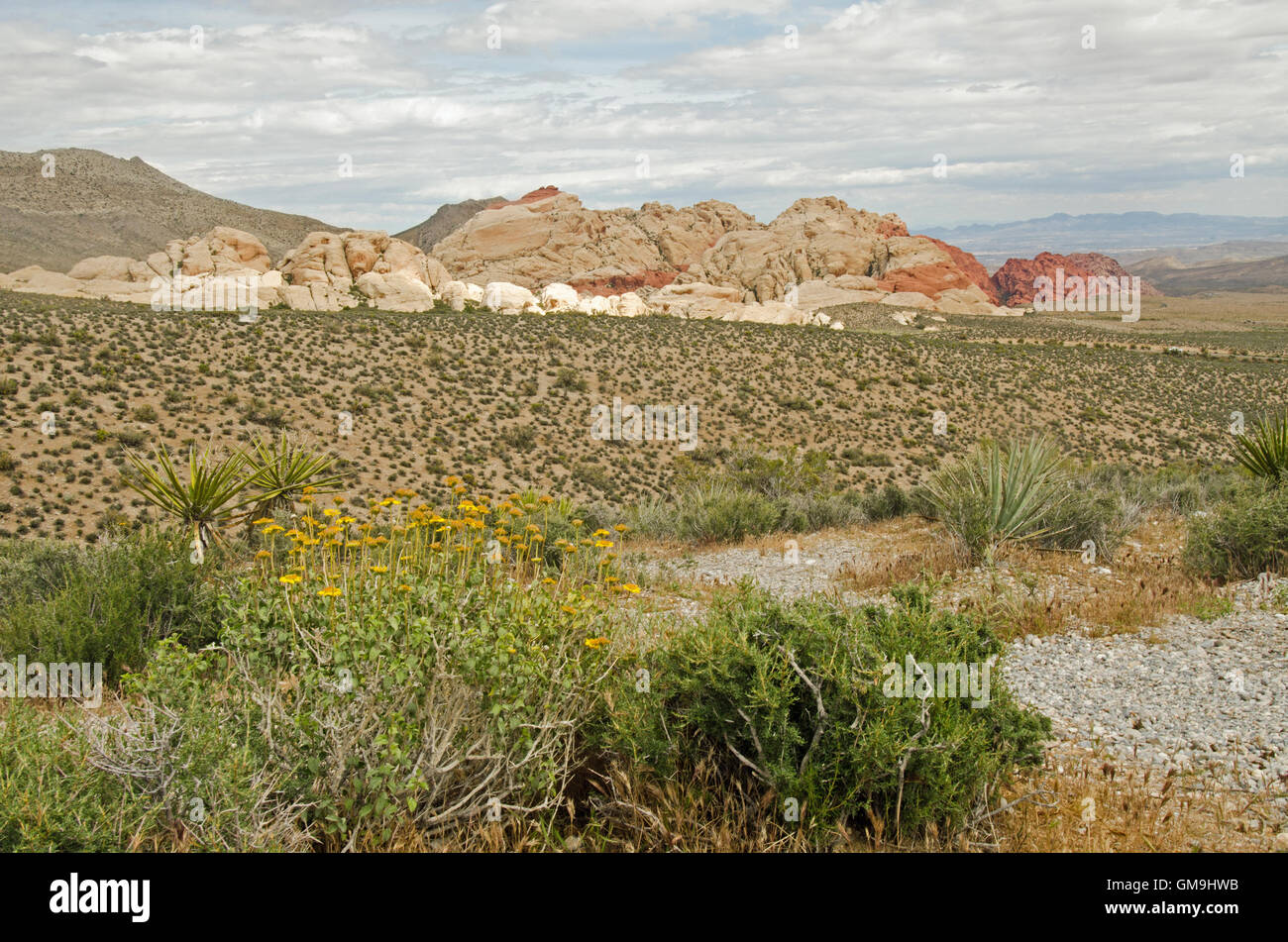 Nevada, Red Rock Canyon, Landscape with rock mountains Stock Photo - Alamy