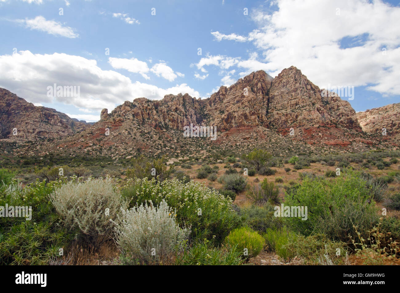 Nevada, Red Rock Canyon, Landscape with rock mountains Stock Photo - Alamy