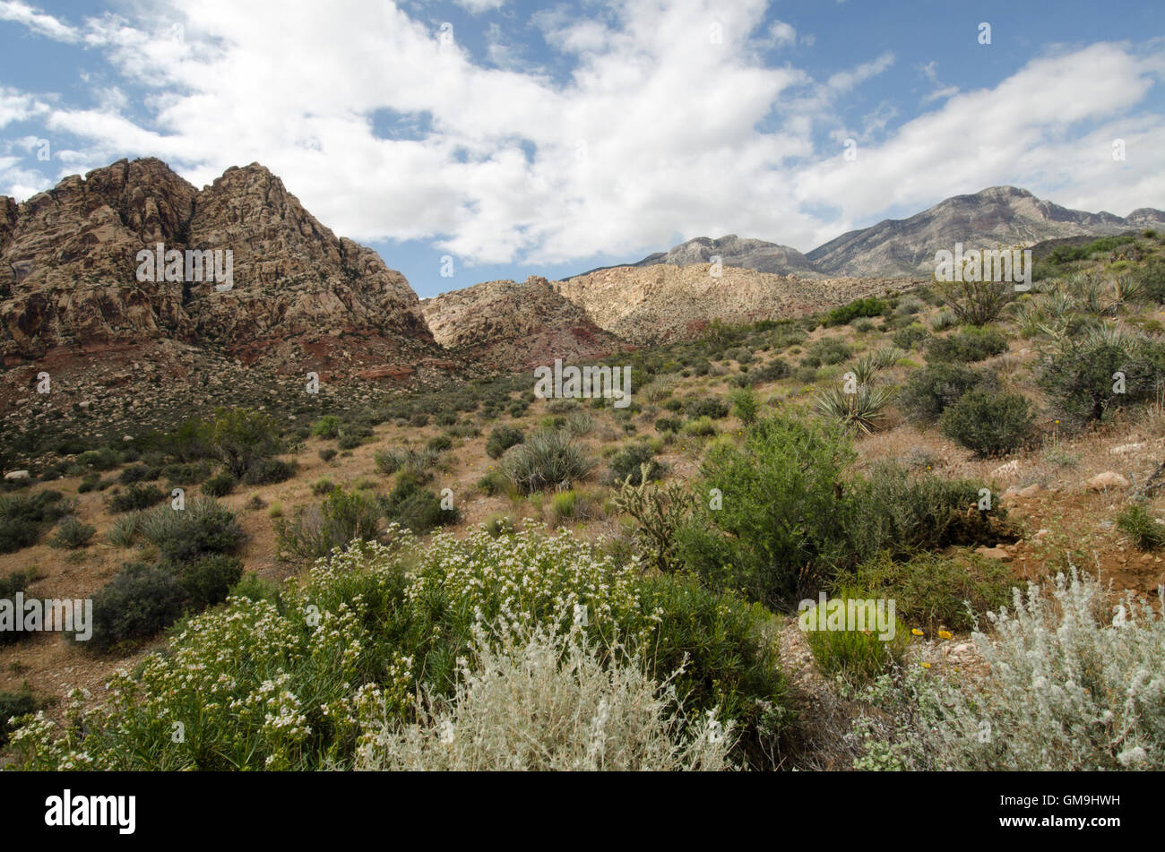 Nevada, Red Rock Canyon, Landscape with rock mountains Stock Photo - Alamy