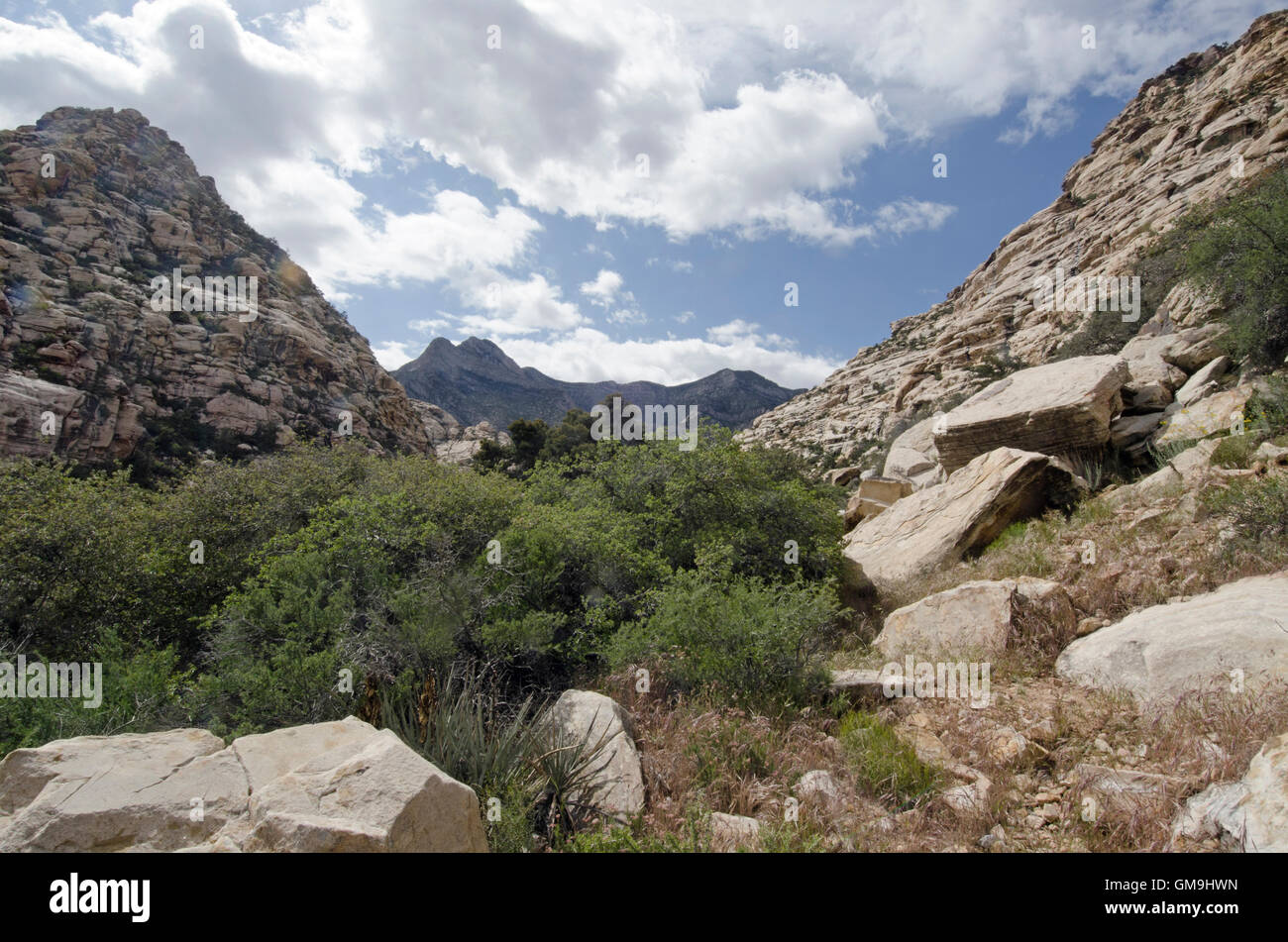 Nevada, Red Rock Canyon, Landscape with rock mountains Stock Photo - Alamy