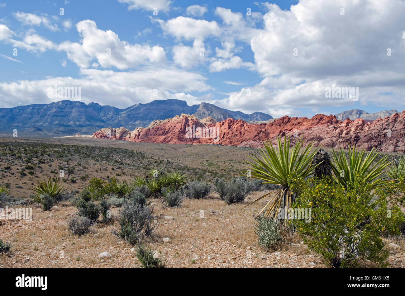Nevada, Red Rock Canyon, Landscape with rock mountains Stock Photo - Alamy