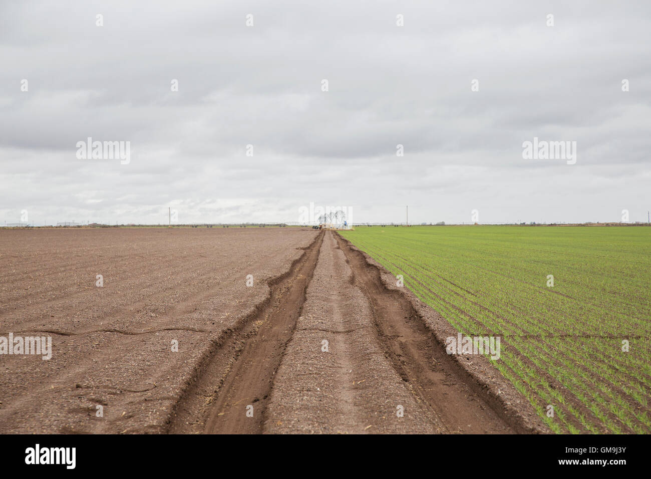 Tire tracks in field Stock Photo - Alamy