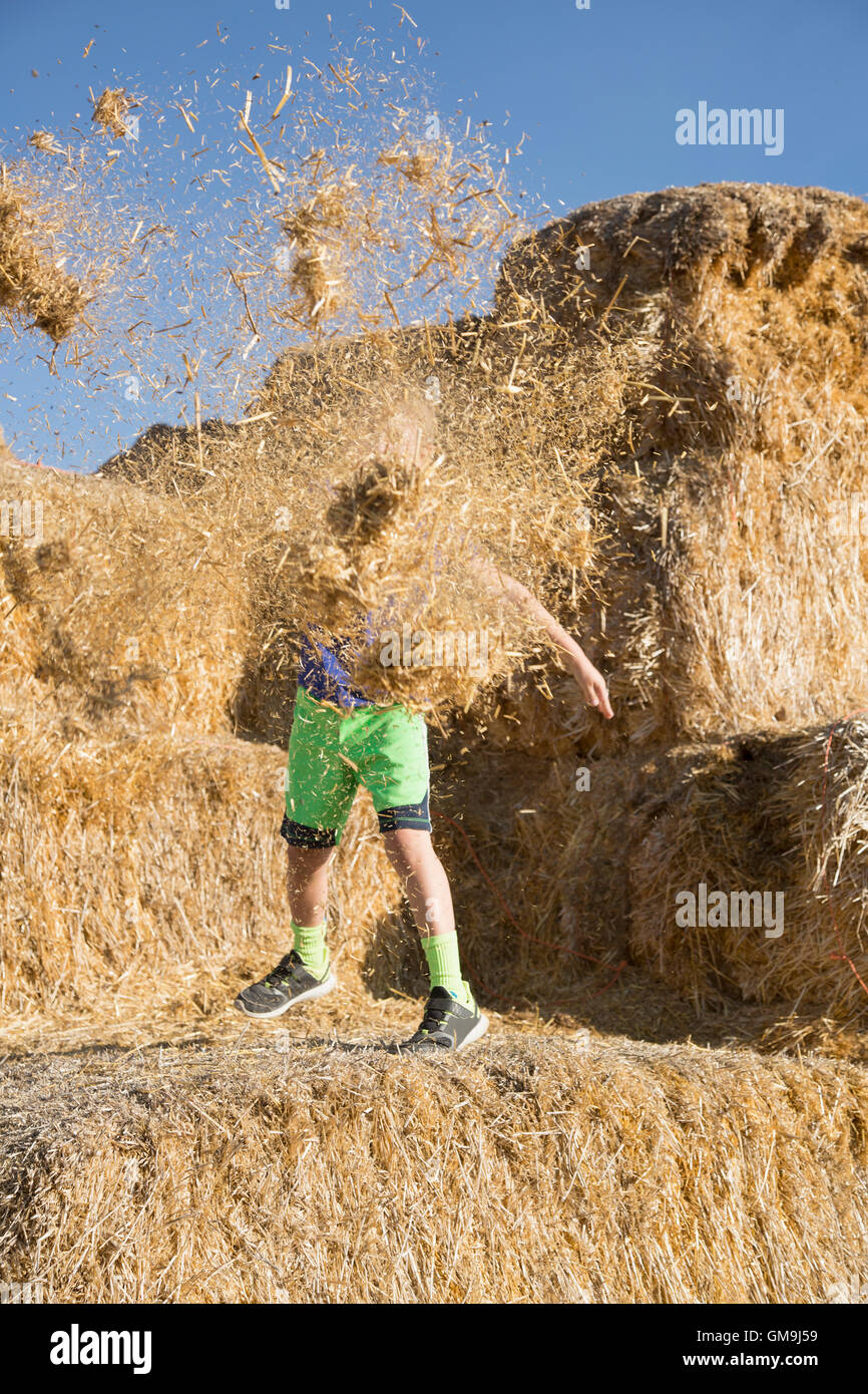 Boy (6-7) playing with hay Stock Photo - Alamy