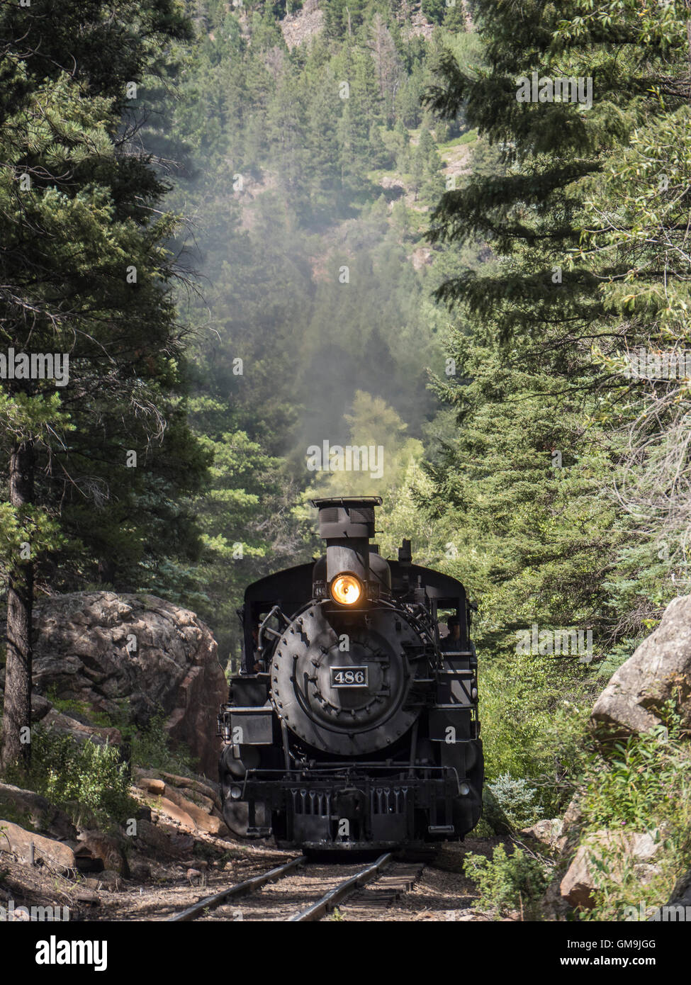 Engine 486 approaching Needleton, Durango and Silverton Narrow Gauge ...