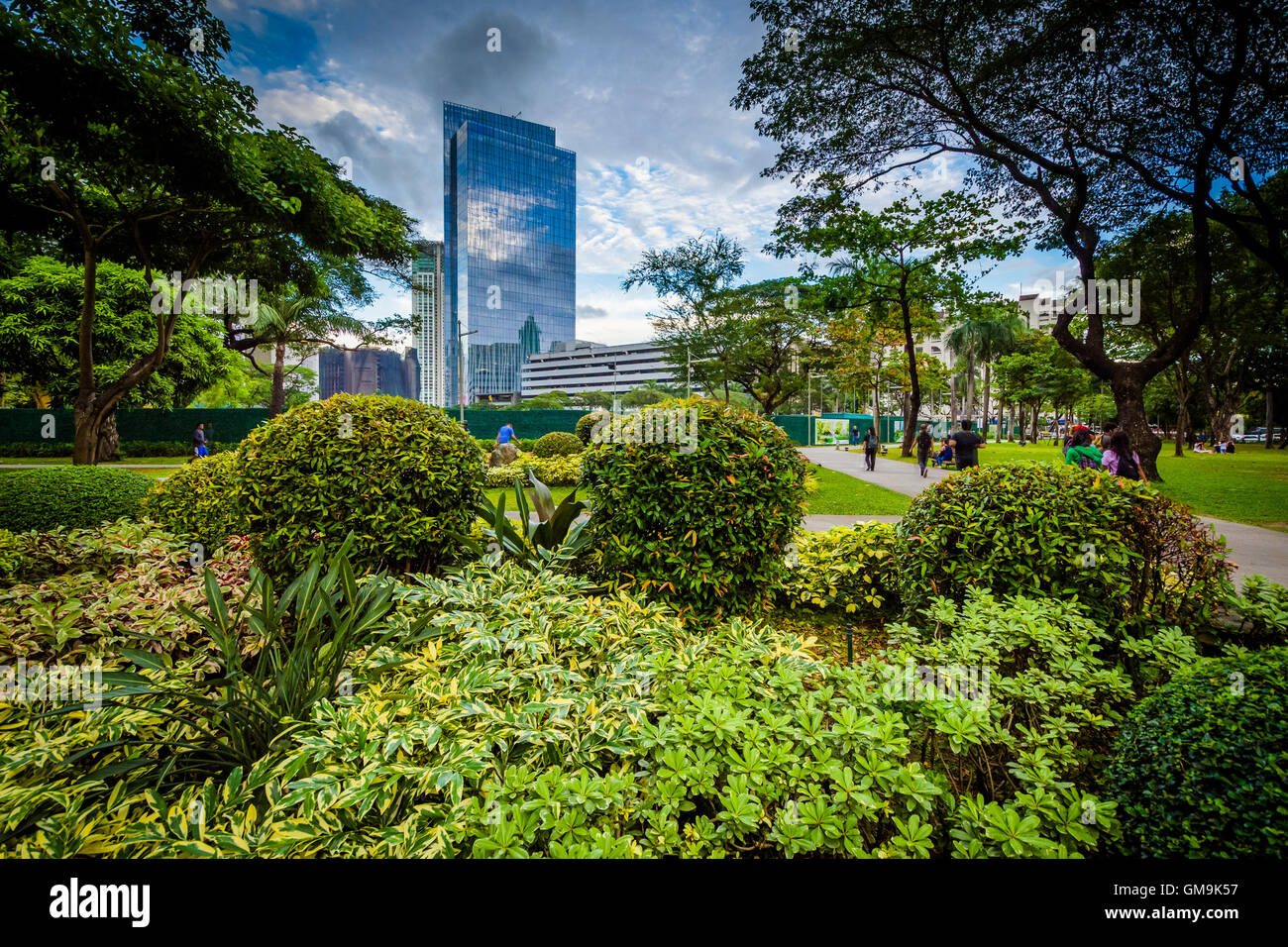 Gardens and skyscrapers seen at Ayala Triangle Park, in Makati, Metro ...