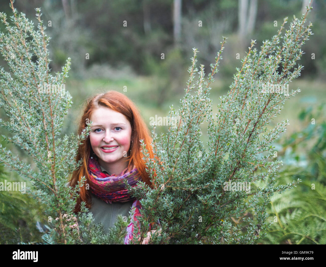 Portrait of smiling redhead in bushes Stock Photo - Alamy