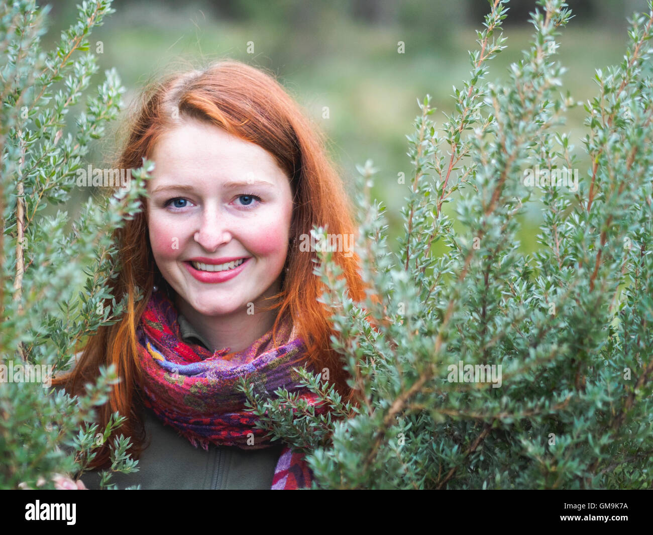 Portrait of smiling redhead in bushes Stock Photo - Alamy