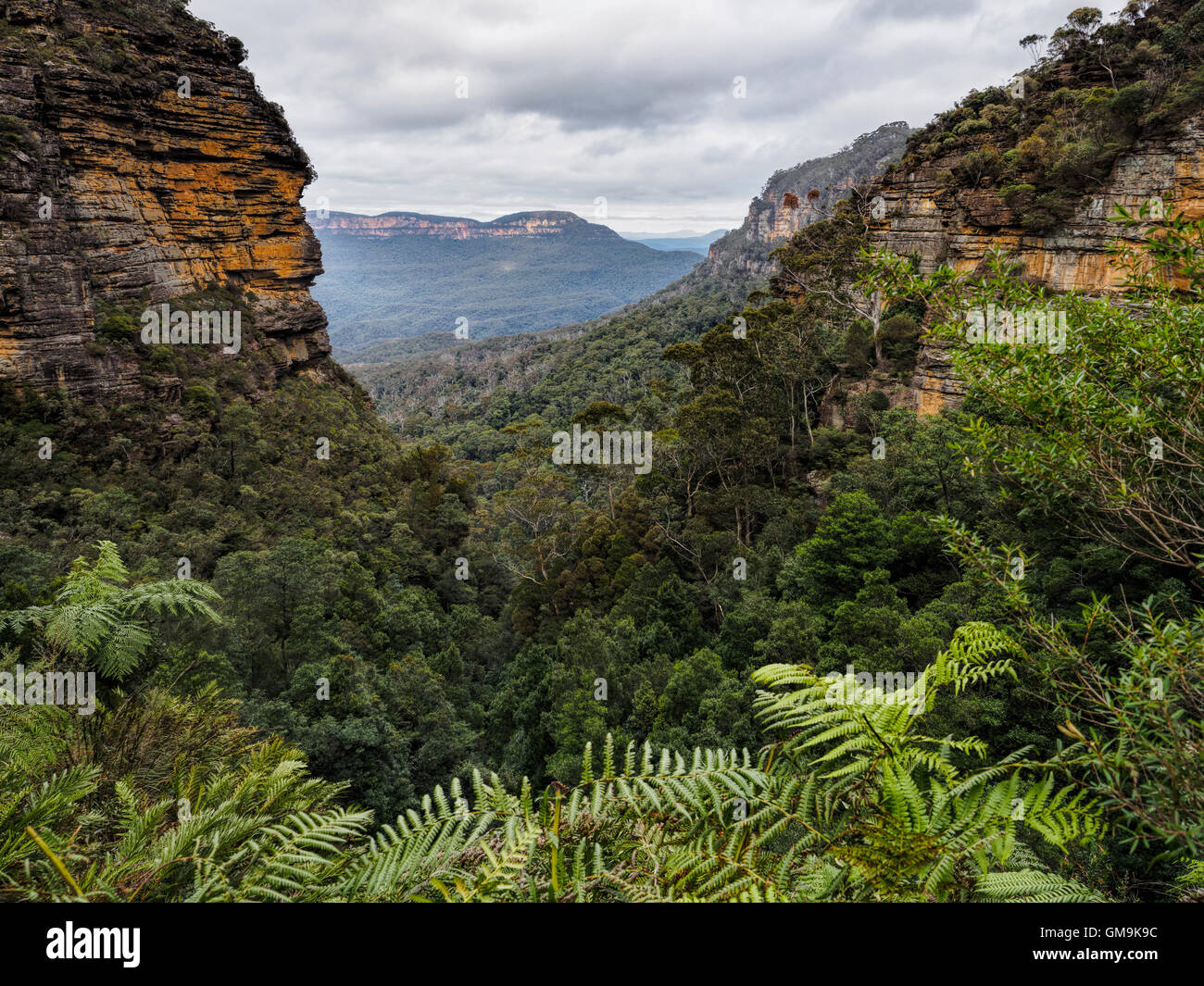 Australia, New South Wales, Blue Mountains National Park, Jamison ...