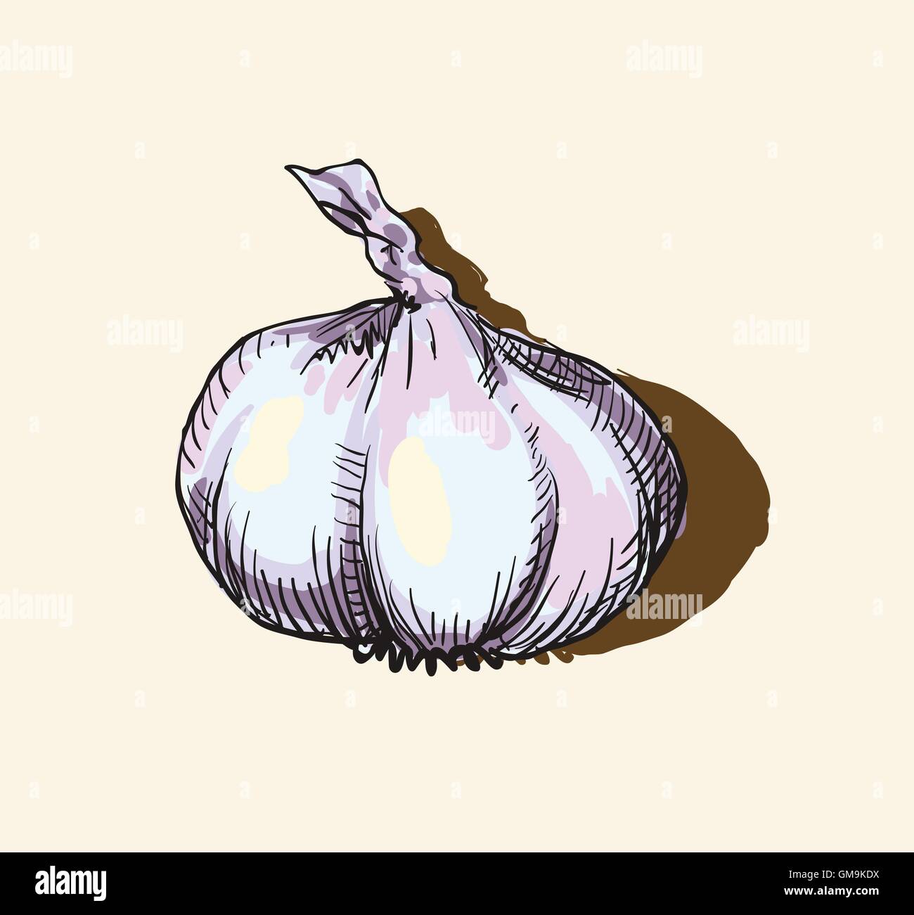 One root Stock Vector Images - Alamy