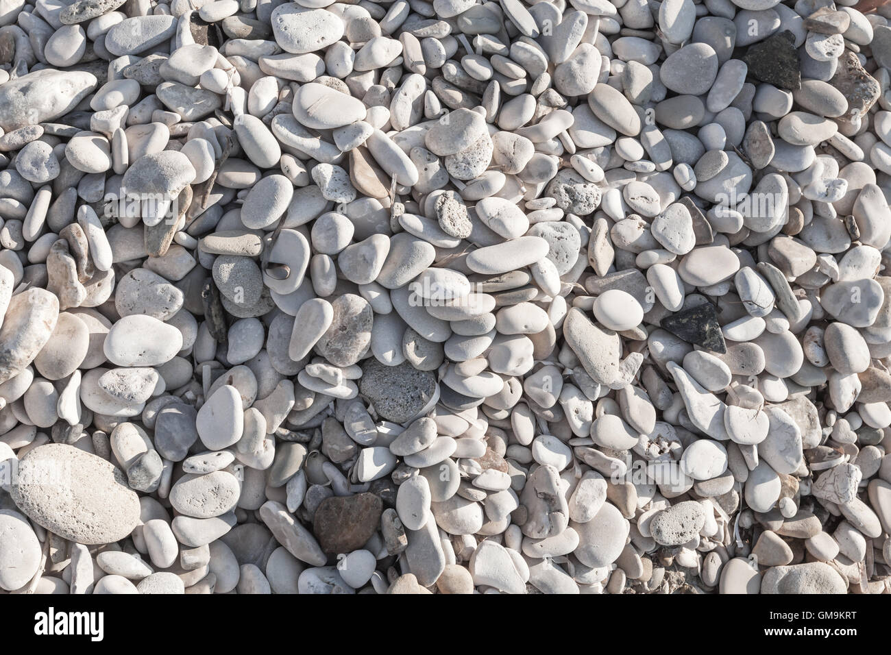 Gray pebble on a sea coast, closeup background texture Stock Photo - Alamy