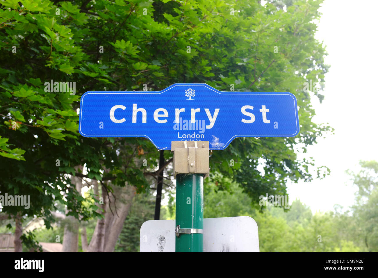 Canadian street sign hi-res stock photography and images - Alamy