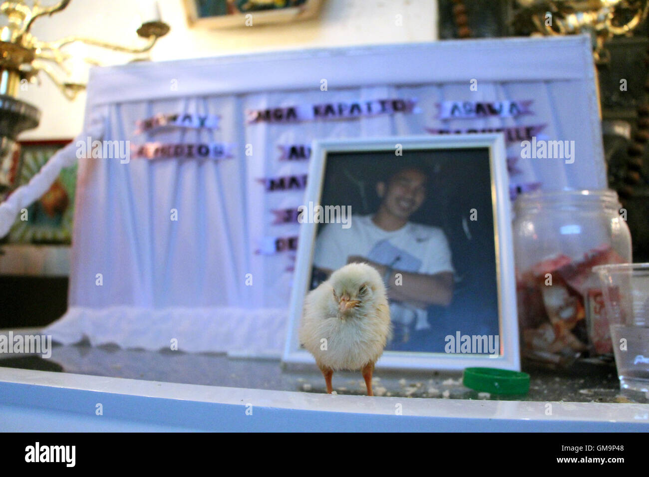 Philippines. 25th Aug, 2016. A chick was put at the top of the casket ...