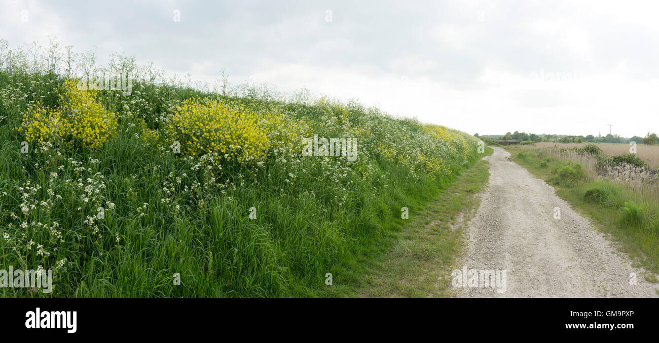 Last few Reaming GHQ, British bunkers guarding the, former GHQ Line ...