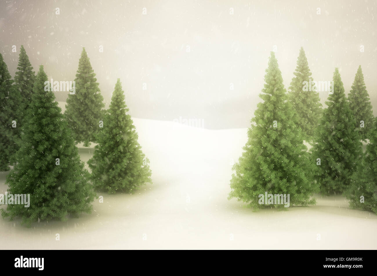 Green pine detail hi-res stock photography and images - Alamy