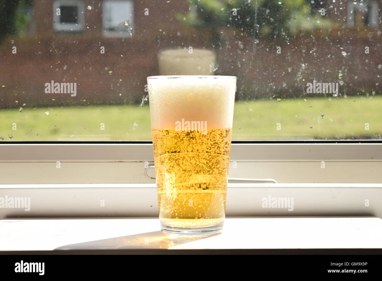 Glass light beer next hi-res stock photography and images - Alamy