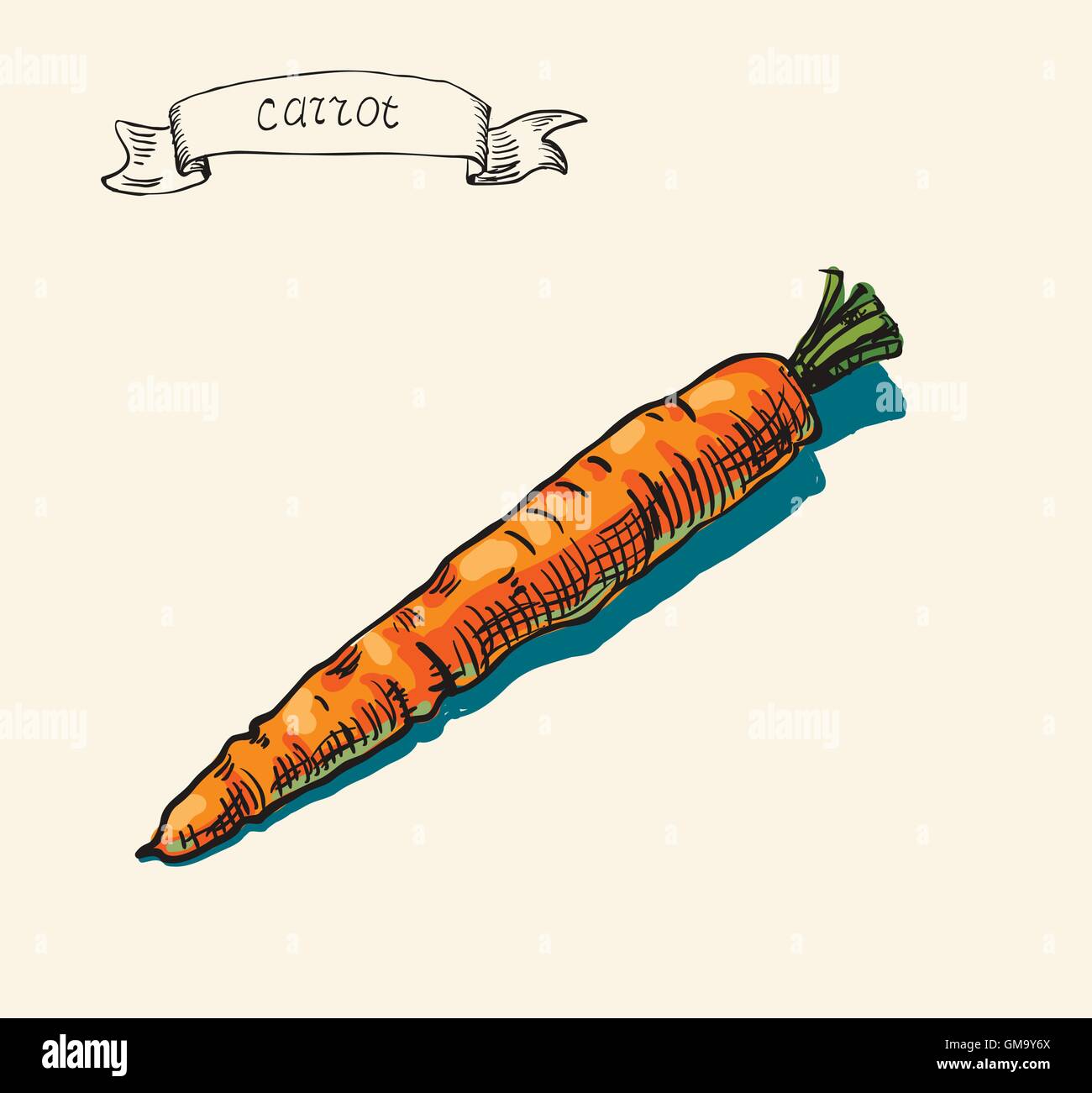 Fresh carrot harvest hand Stock Vector Images - Alamy