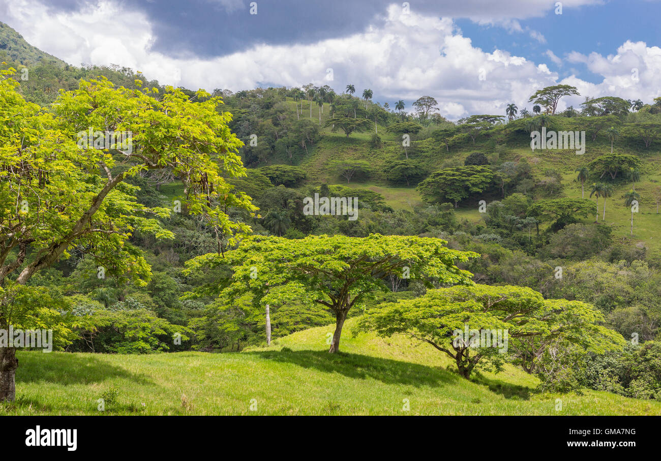 DOMINICAN REPUBLIC - Landscape in mountains, private land for grazing ...