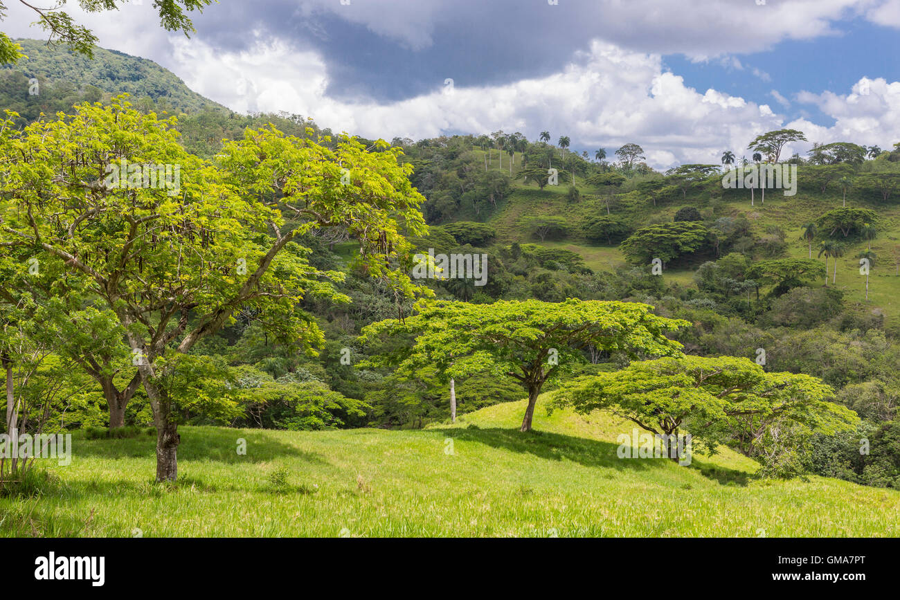 Dominican republic landscape hi-res stock photography and images - Alamy