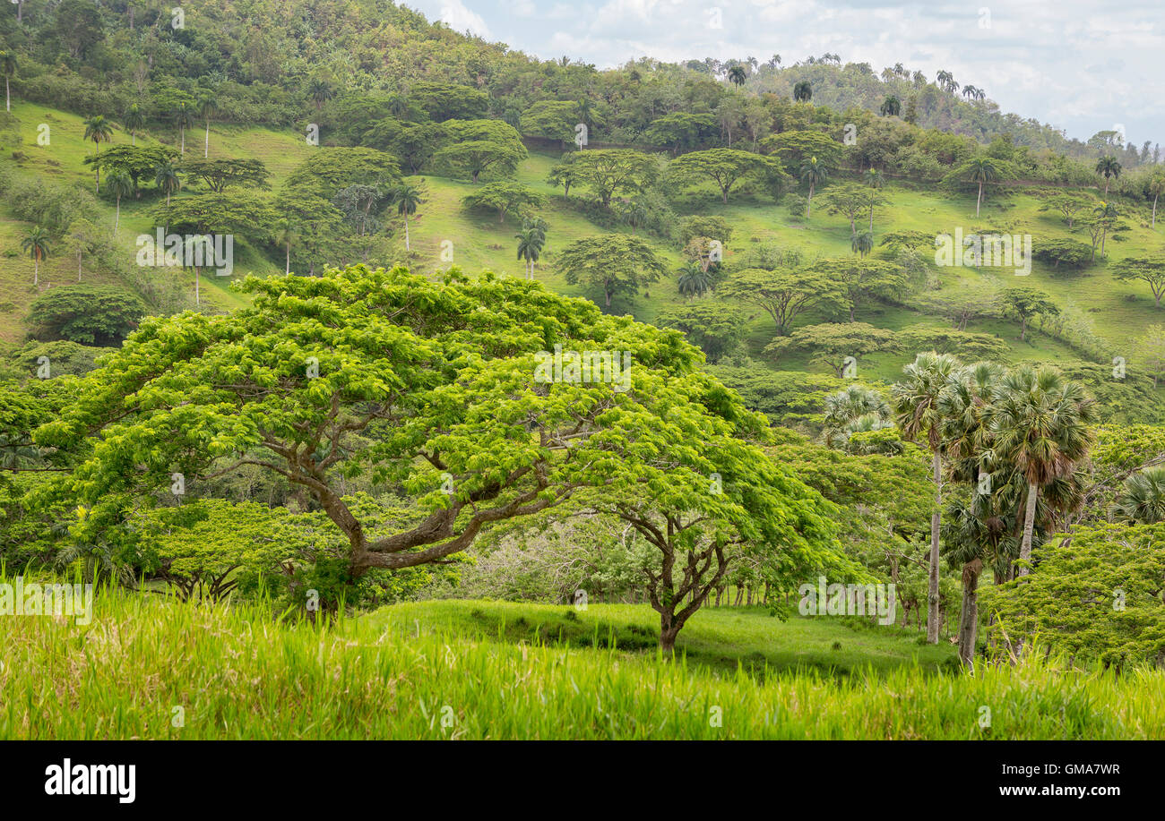 DOMINICAN REPUBLIC - Landscape in mountains, northern DR Stock Photo ...