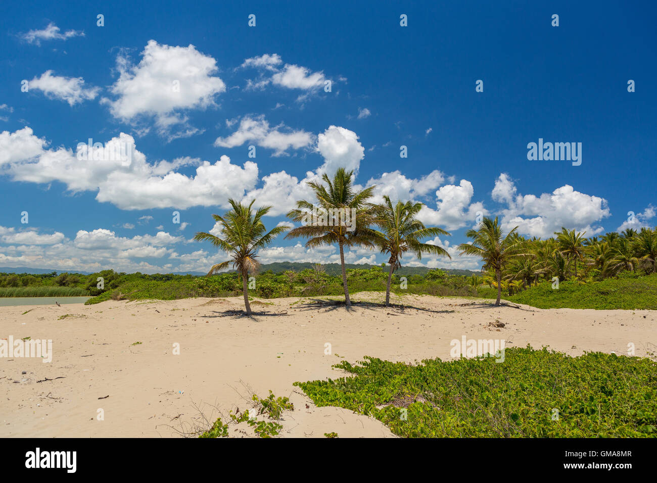DOMINICAN REPUBLIC - Beach landscape with palm trees at mouth of Yasica ...
