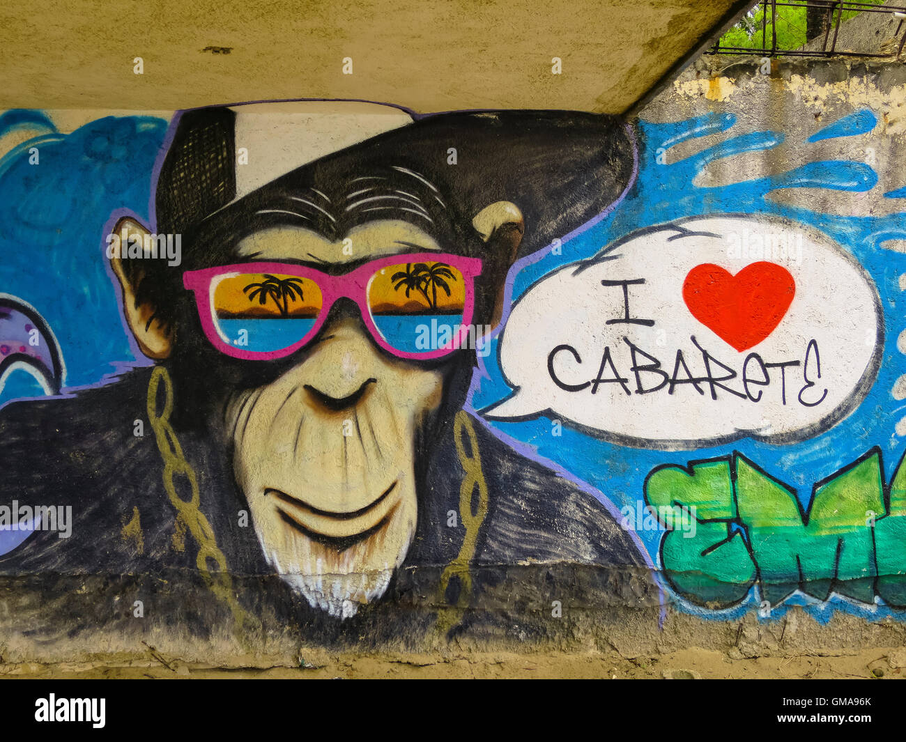 Dominican Flag Graffiti