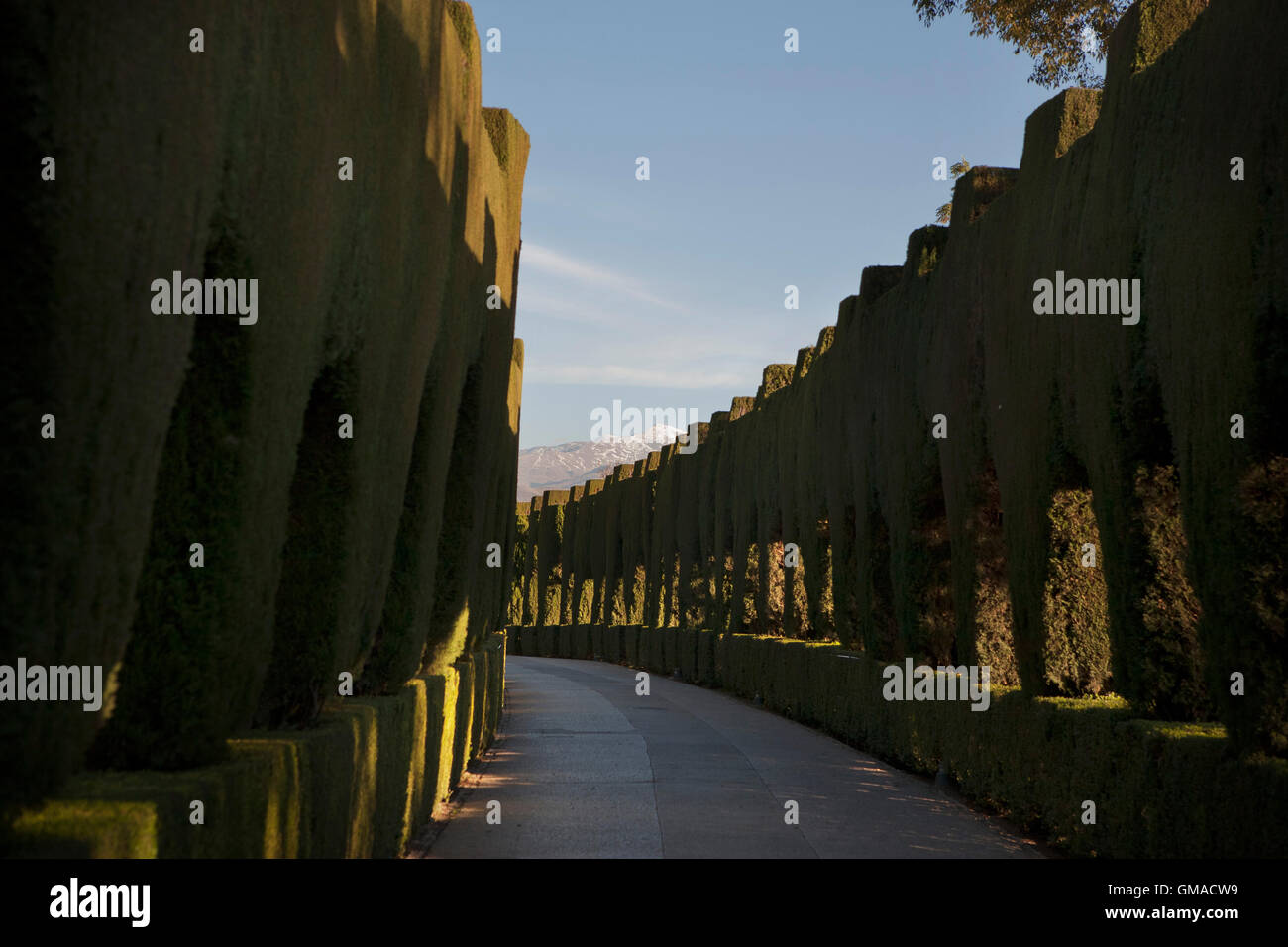 Walkway Lined With Trees And Shrubs At Alhambra Granada Andalusia Spain ...