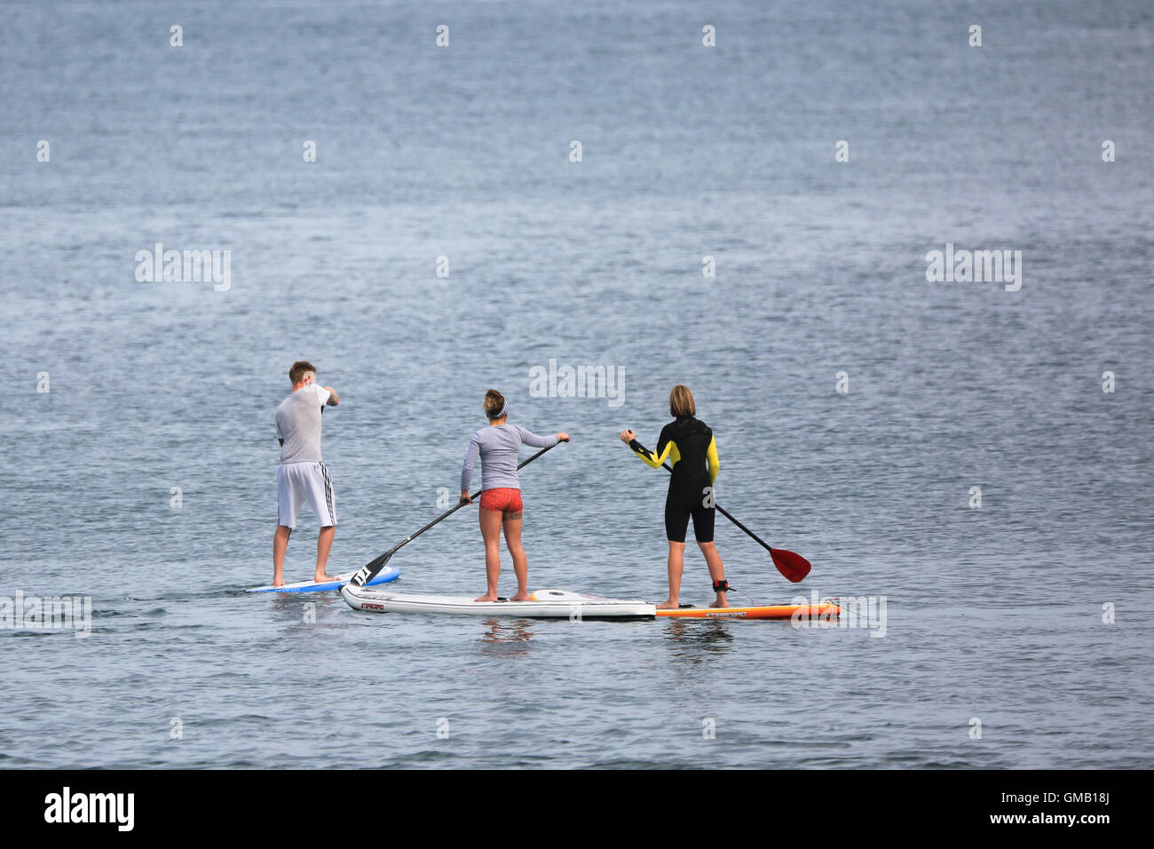 3 people paddle boarding on cardigan bay Stock Photo - Alamy