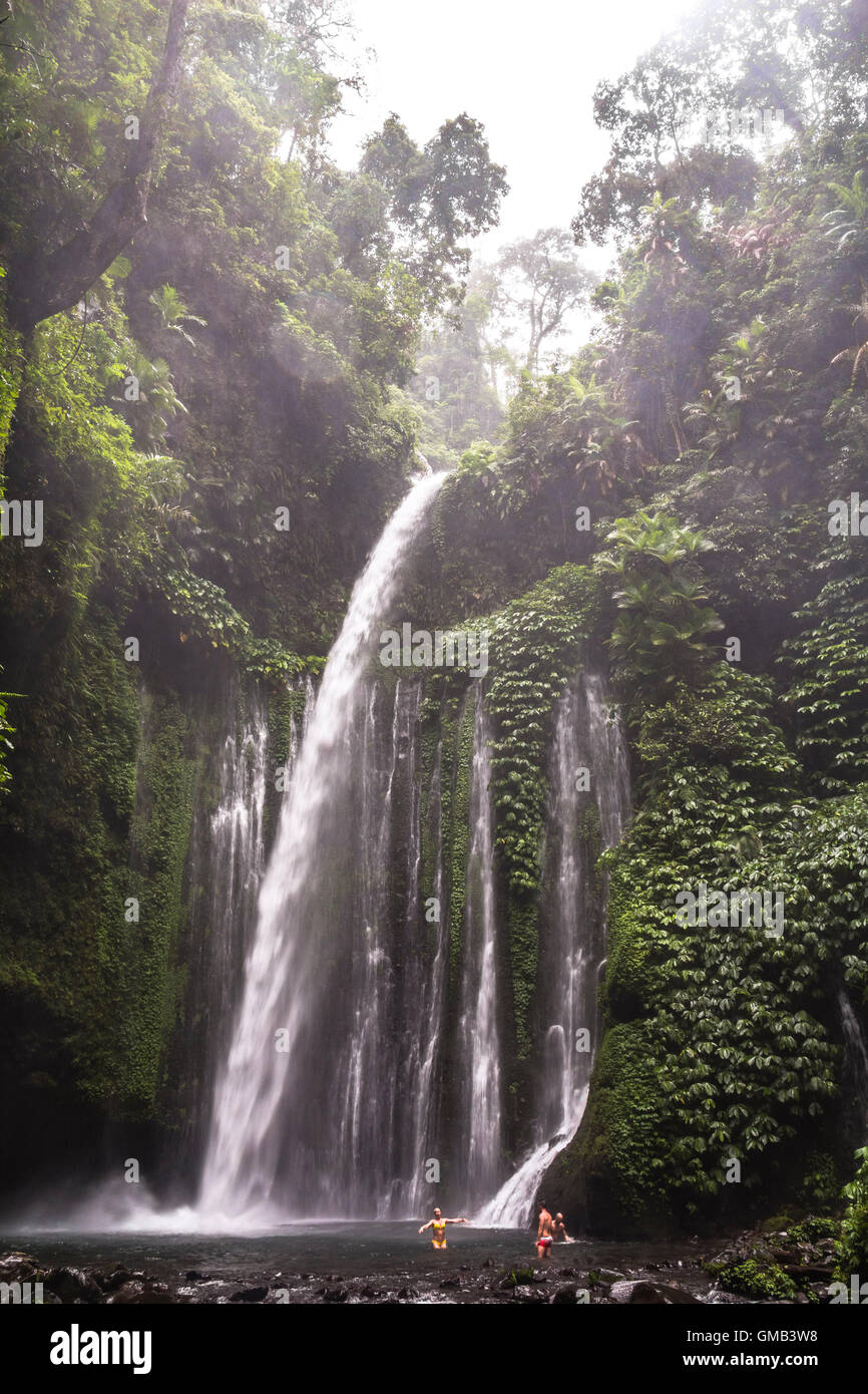 Tall waterfall in the jungle of Lombok Stock Photo - Alamy