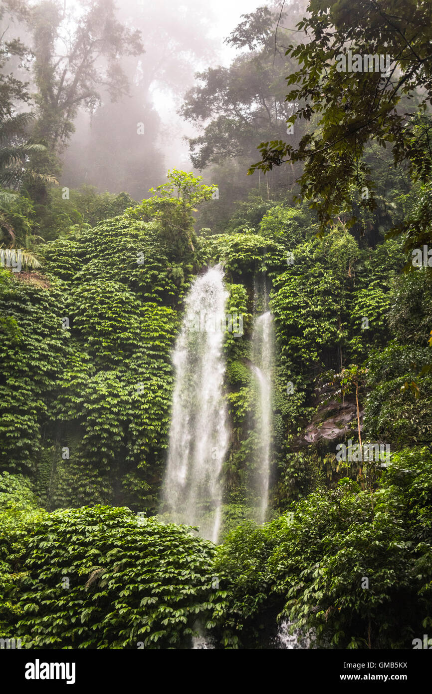 Waterfalls in the jungle of Lombok, Indonesia Stock Photo - Alamy