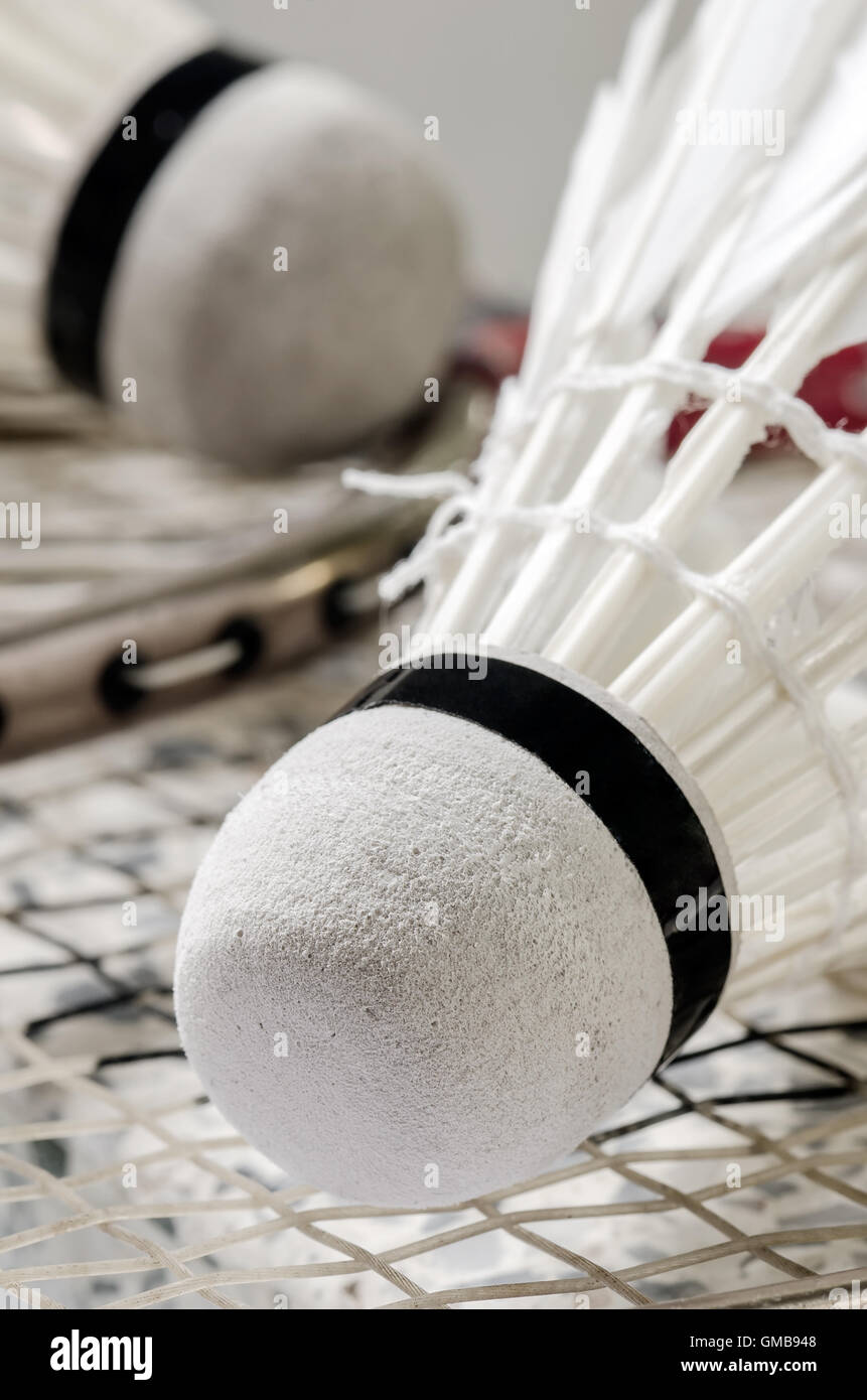 badminton shuttlecocks on racket in close up view Stock Photo - Alamy