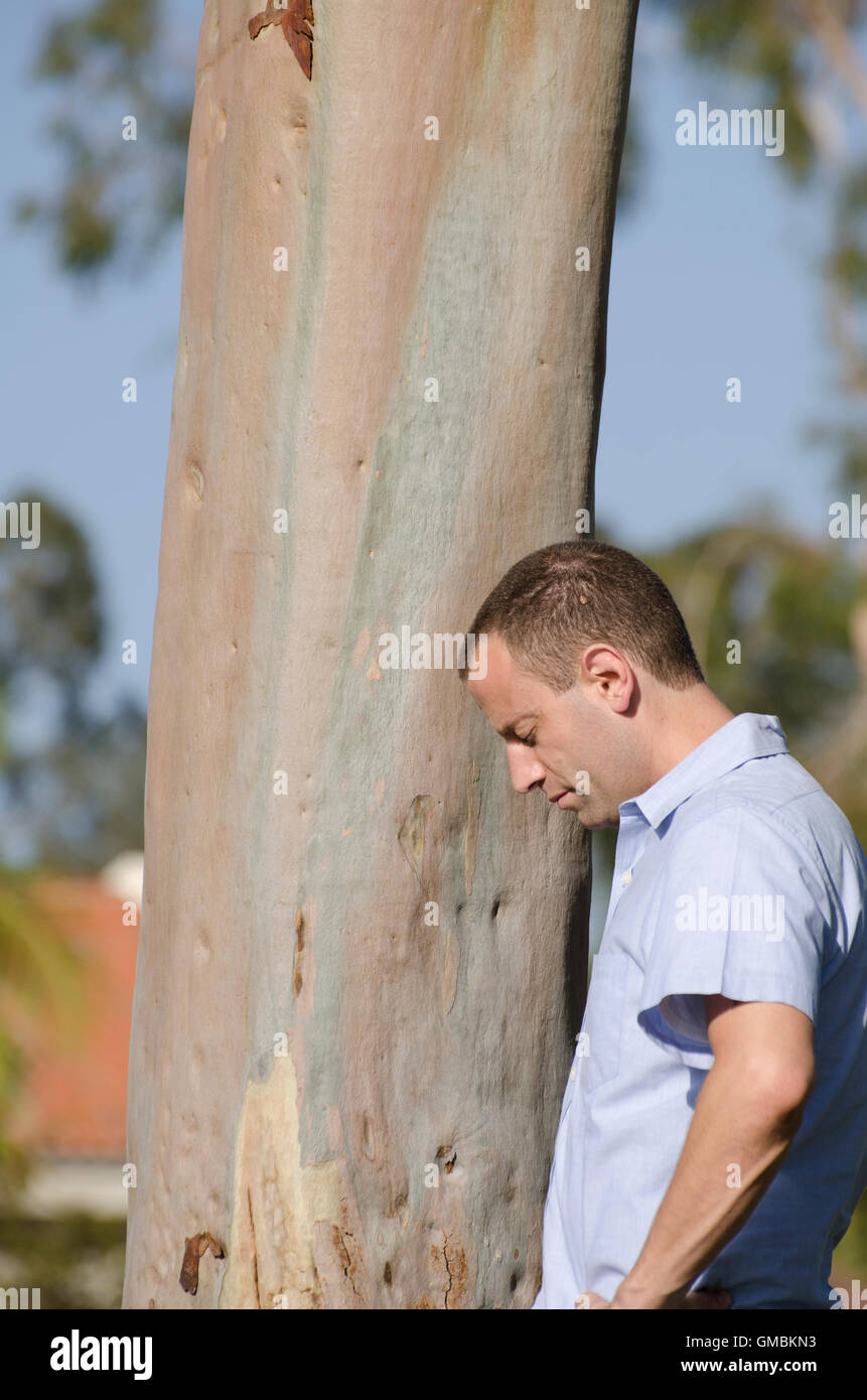 Man thinking by tree outside in a park wearing a collard shirt Stock ...
