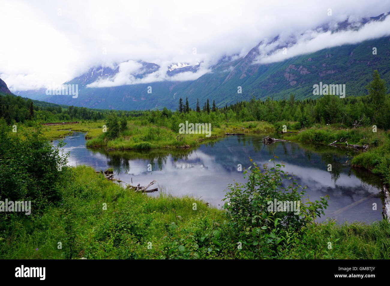 Scenic mountain view at the Eagle River Nature Center (Albert Loop Trail) Alaska Stock Photo - Alamy