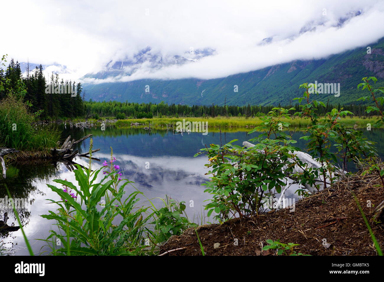 Albert loop trail hi-res stock photography and images - Alamy