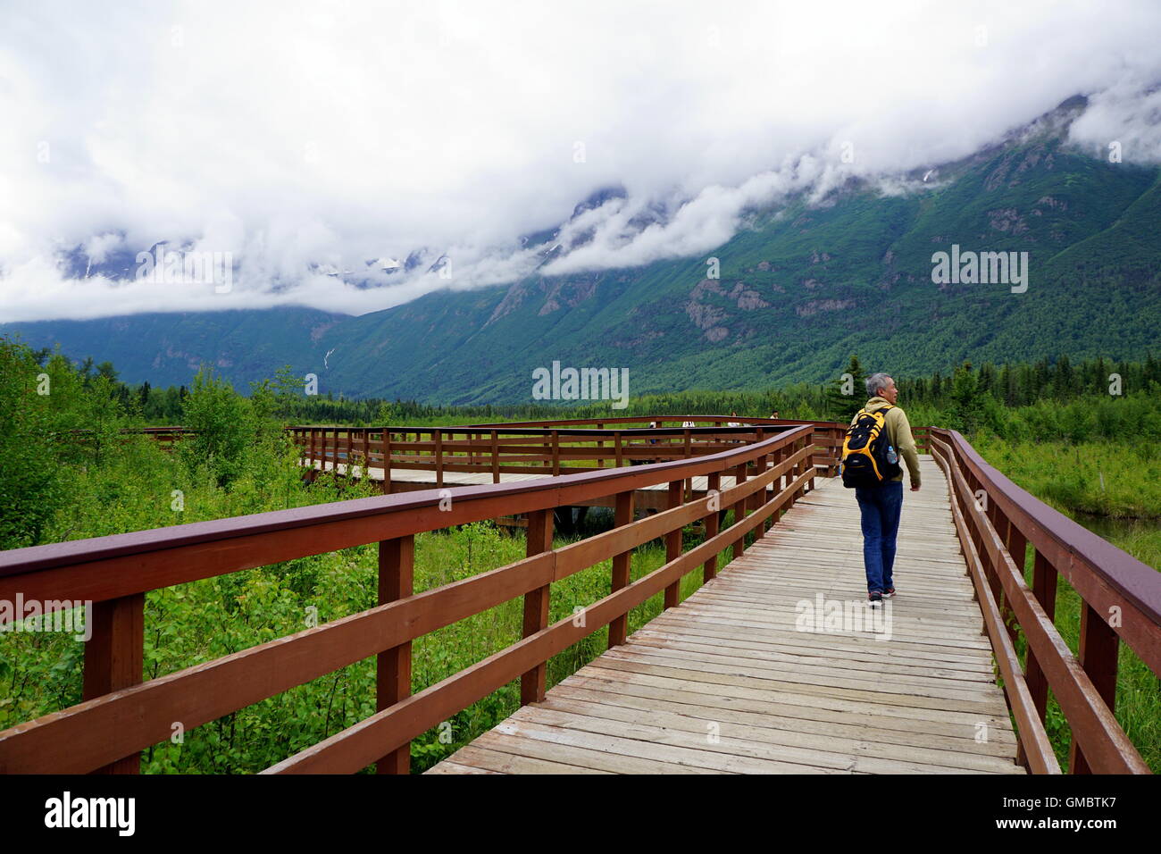 Hiker on the boardwalk at the Eagle River Nature Center (Albert Loop Trail), Alaska Stock Photo ...