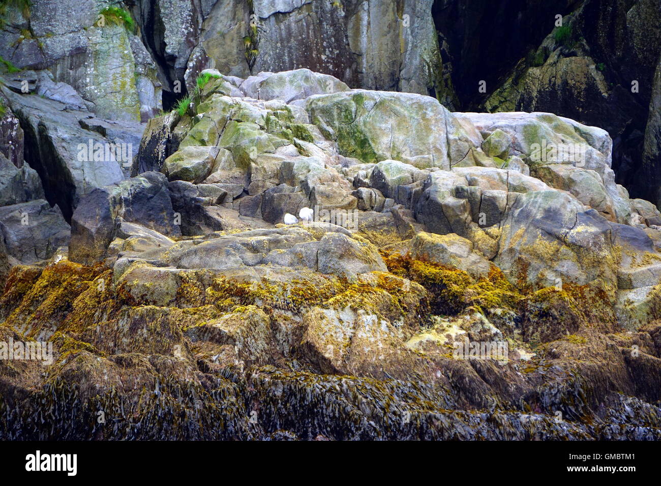 Rock formations in the middle of the ocean at the Kenai Fjords National ...