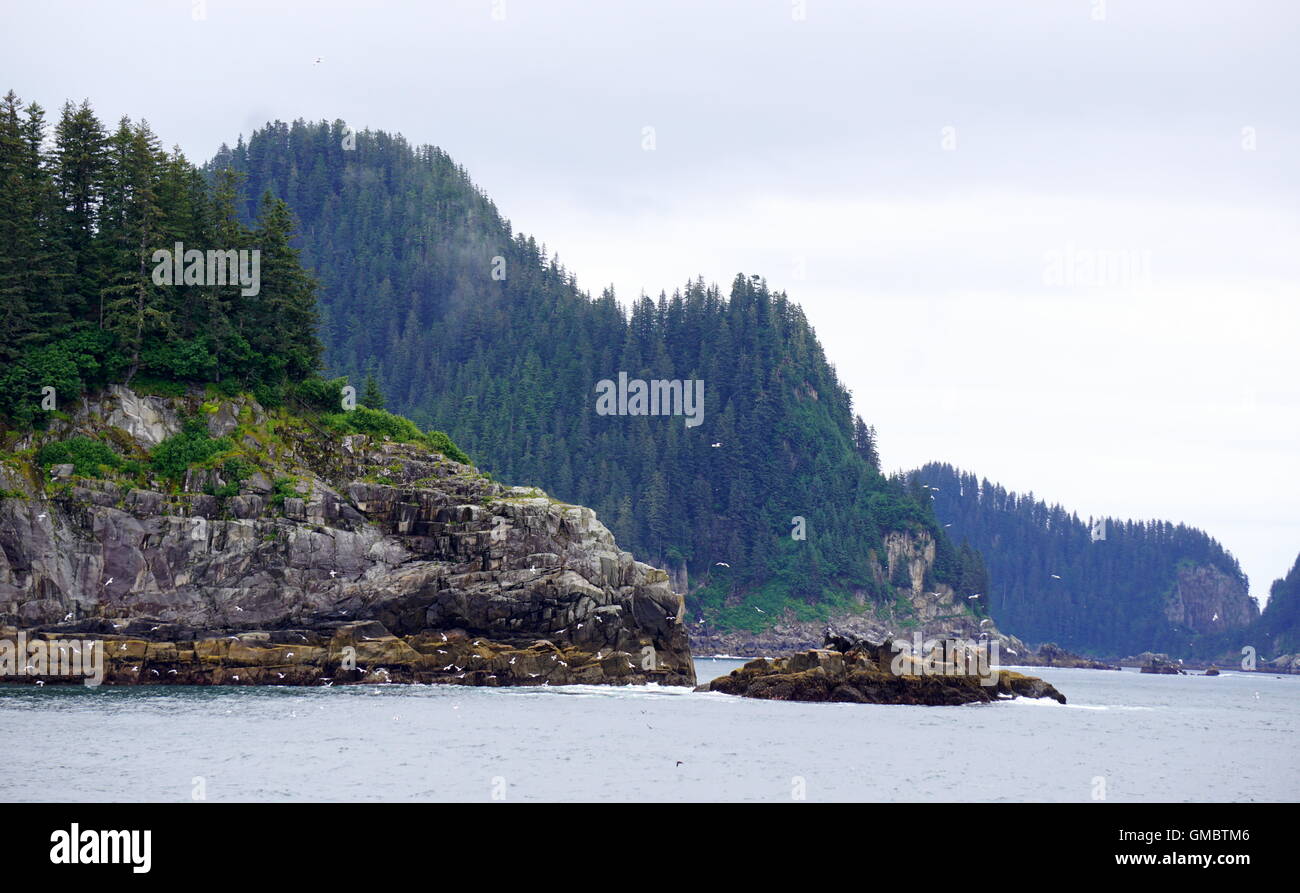 Rock formations in the middle of the ocean at the Kenai Fjords National ...
