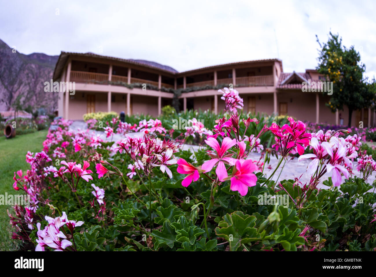 beautiful relaxing outdoors morning scene in a Peruvian hotel with ...