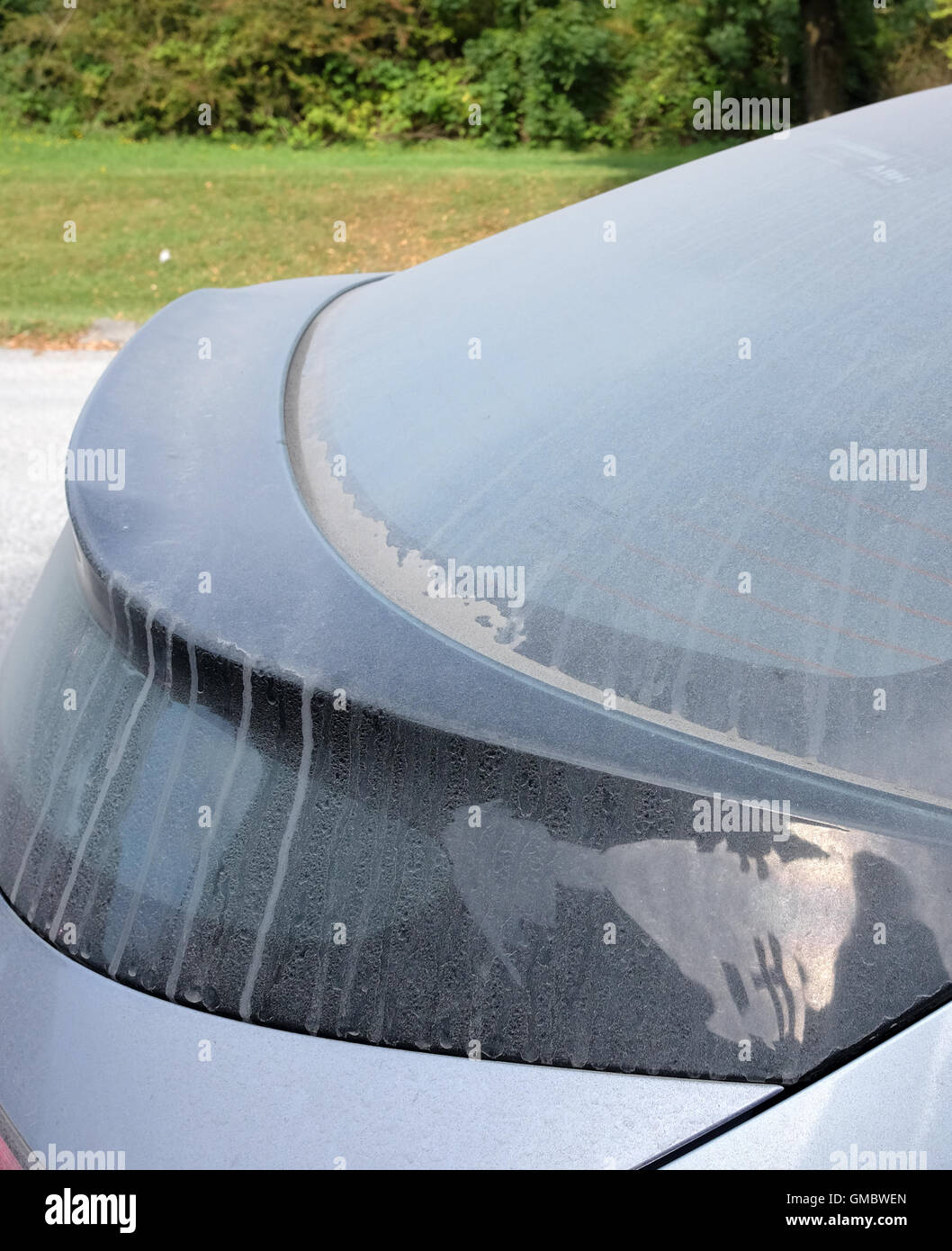 Very dirty and dusty cars parked where surface dressing has been taking ...