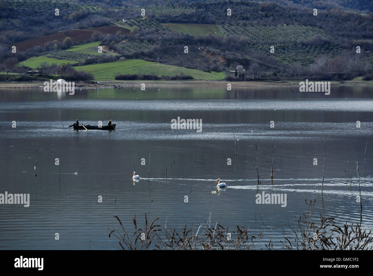 A boat in a lake Stock Photo - Alamy