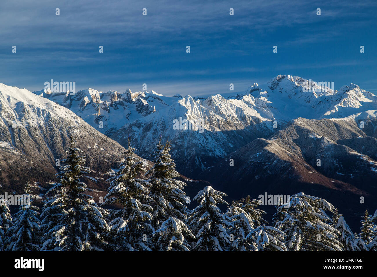 Trees covered with snow frame the snowy peaks Olano Masino Valley ...