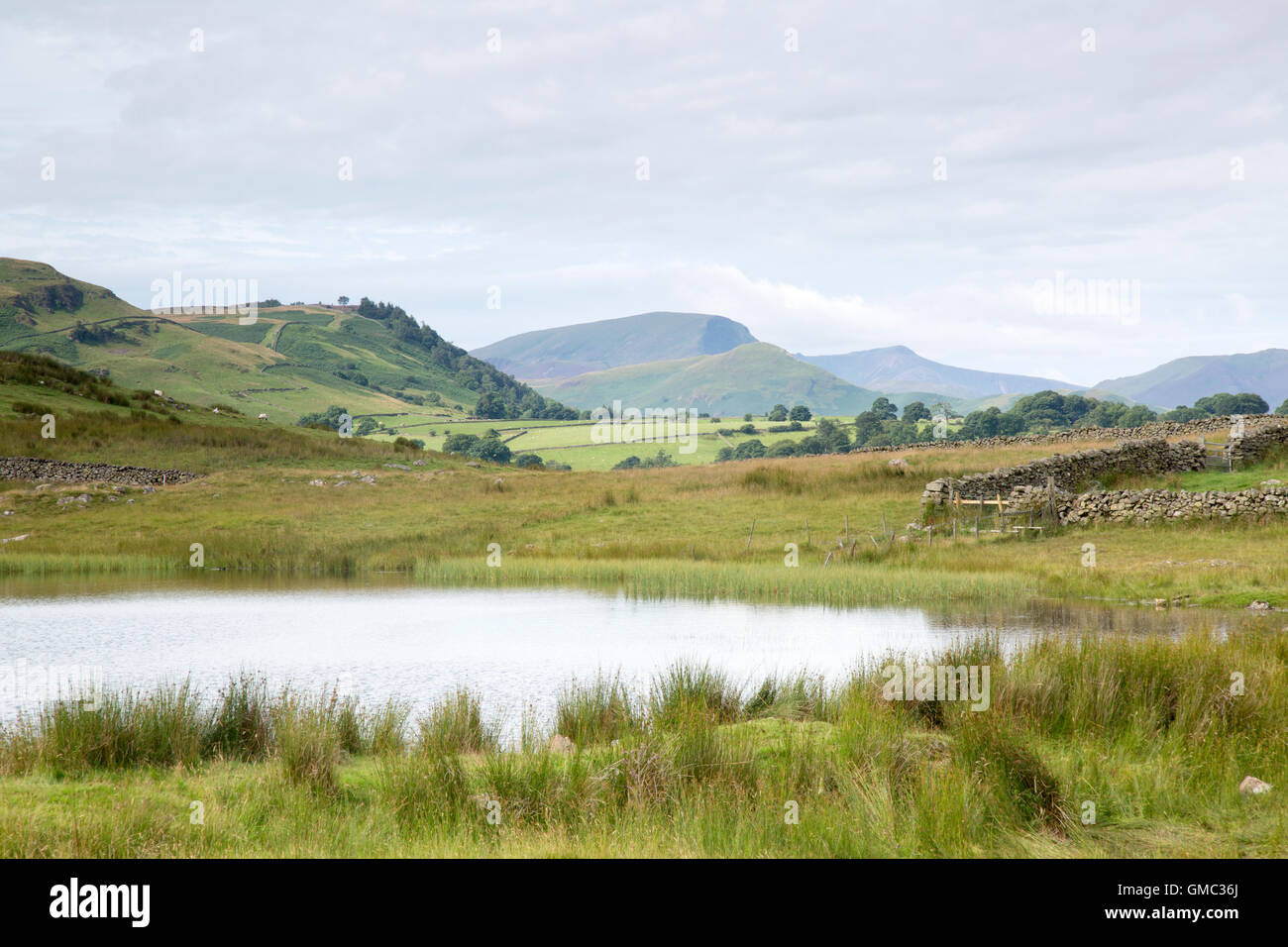 Tewet Tarn High Resolution Stock Photography and Images - Alamy