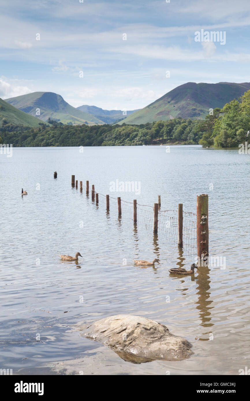 Derwent Water, Keswick, Lake District, England, UK Stock Photo - Alamy