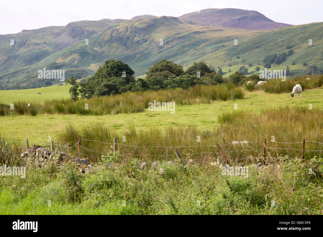 Mountain outside Keswick; Lake District; England; UK Stock Photo - Alamy
