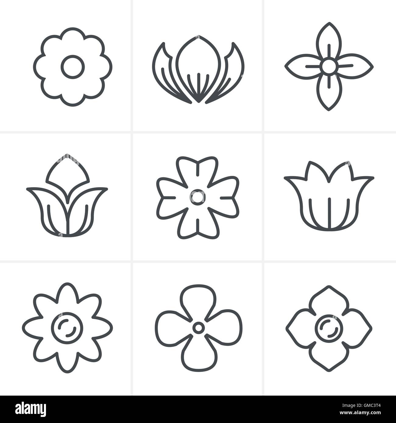 Basic Flower Shape