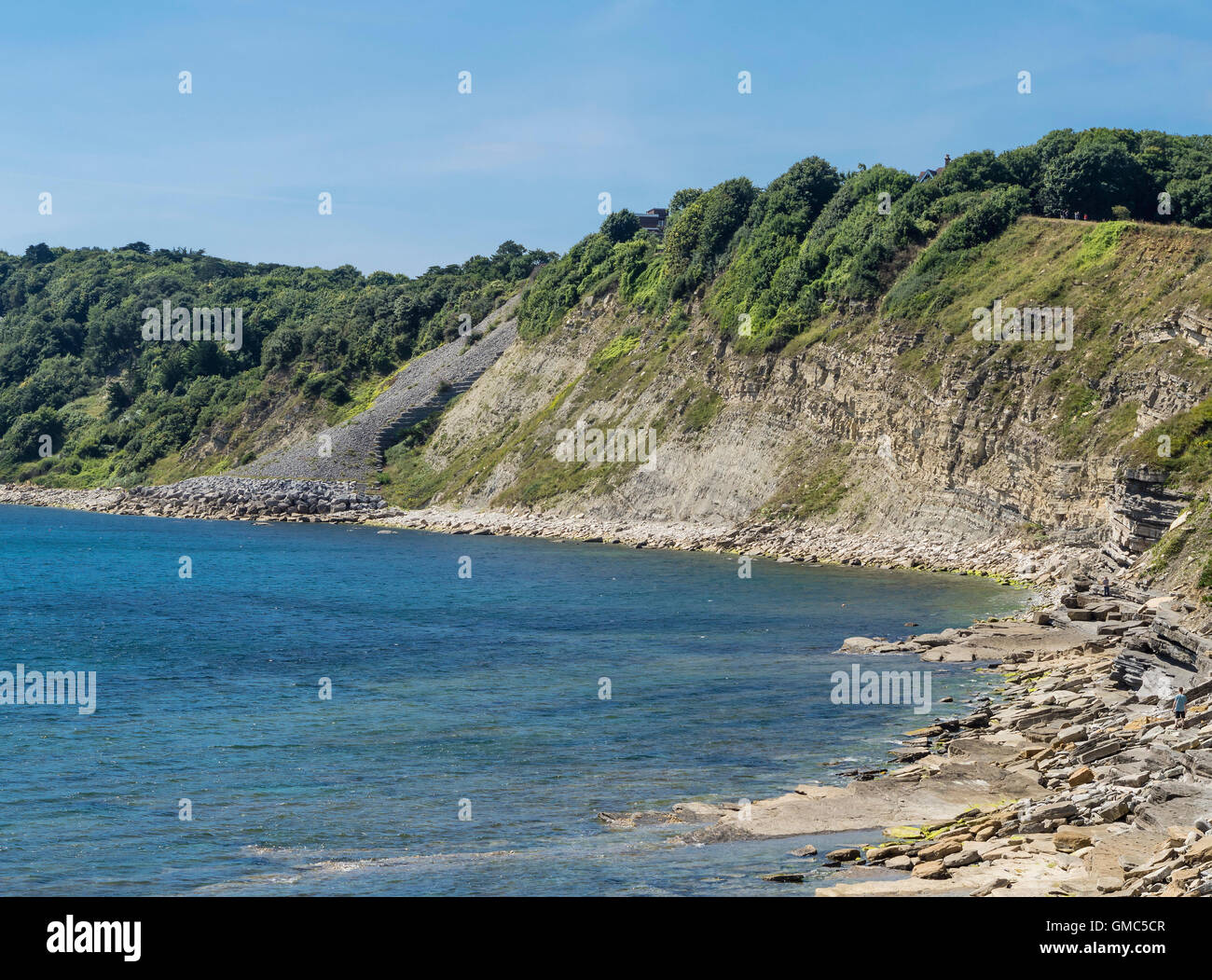 Durlston Bay Limestone Cliffs from Peveril Point, showing cliff ...