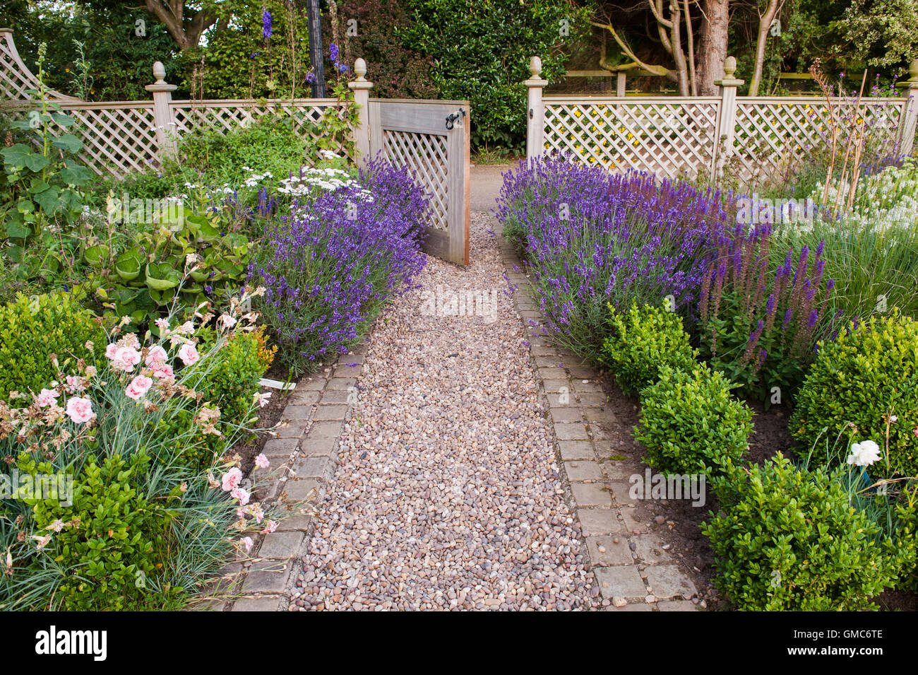 Open gate, path and lavender flowers in beautiful, traditional ...