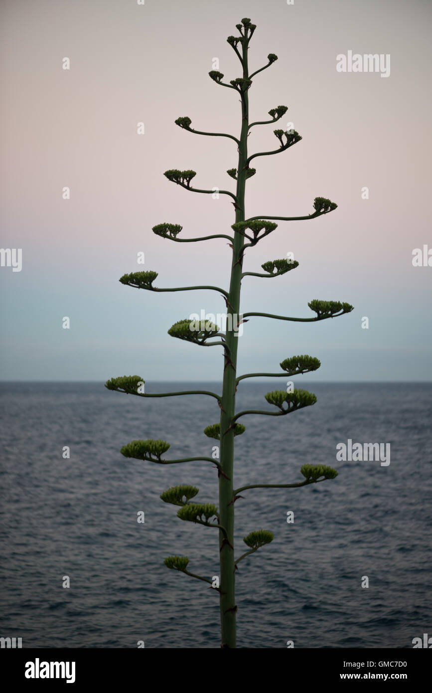 Improbable events hi-res stock photography and images - Alamy