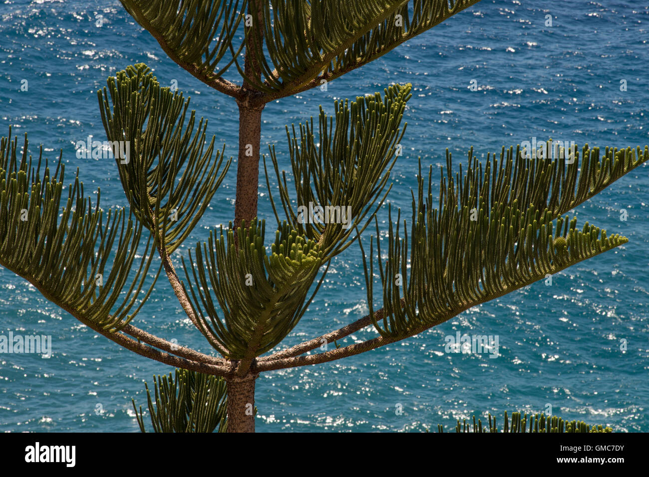 Improbable island hi-res stock photography and images - Alamy